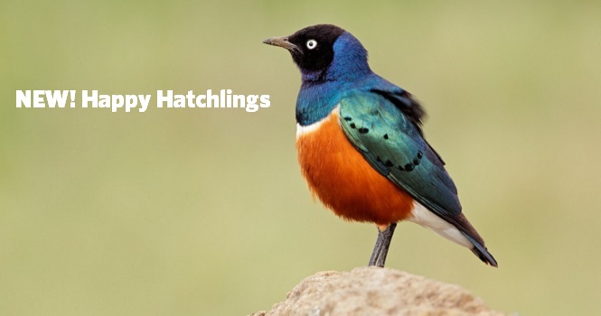 Tickets for Happy Hatchlings in Pittsburgh from ShowClix